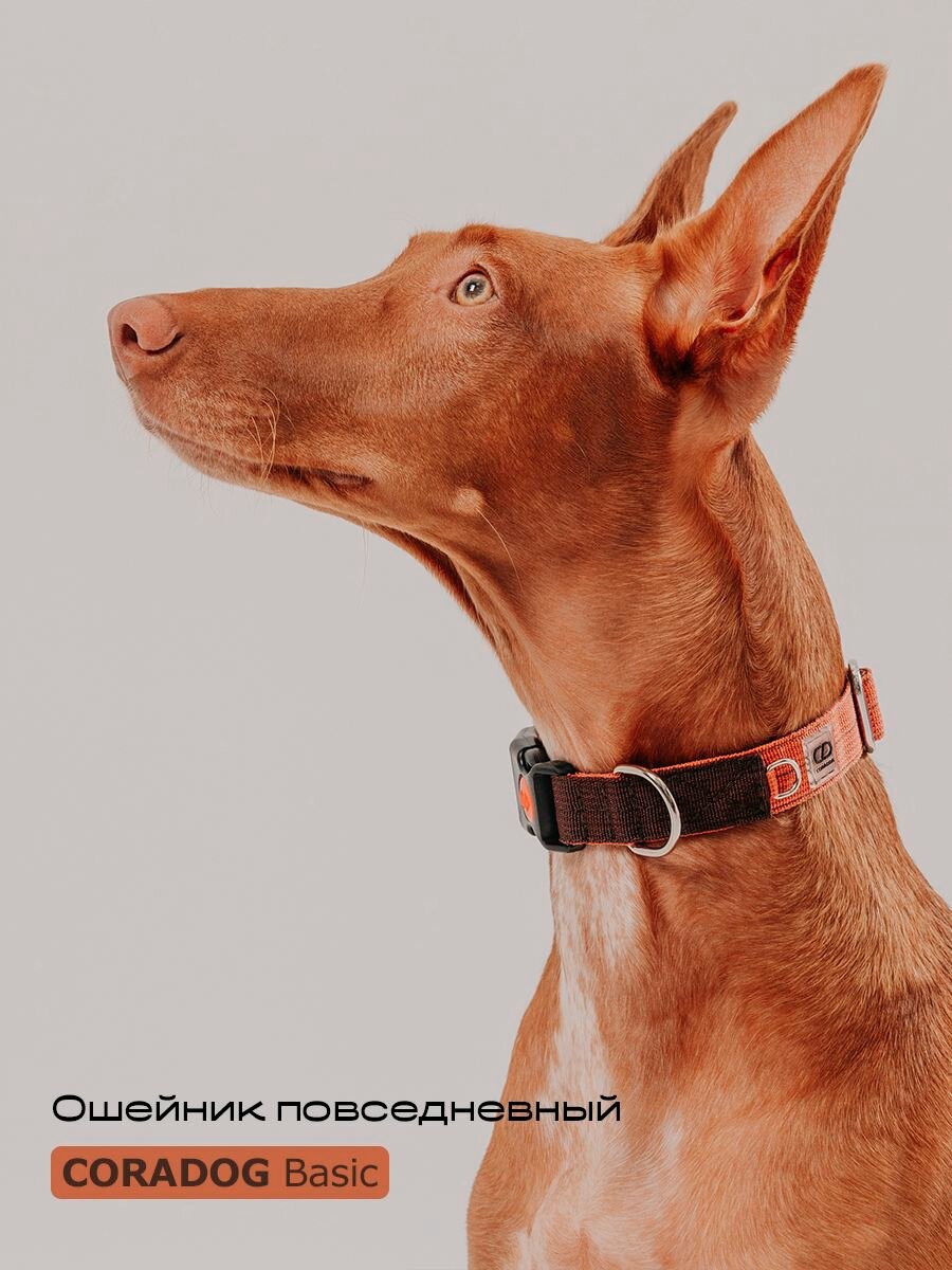 Ошейник повседневный, CORADOG Basic, для средних и крупных собак, терракотовый, коричневый, размер L 42-65 см