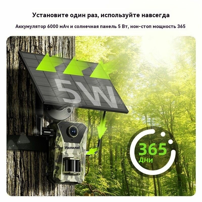 Фотоловушка — фото 1