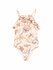 Купальник ETRO Ruffled floral swimsuit, размер 4 года, оранжевый