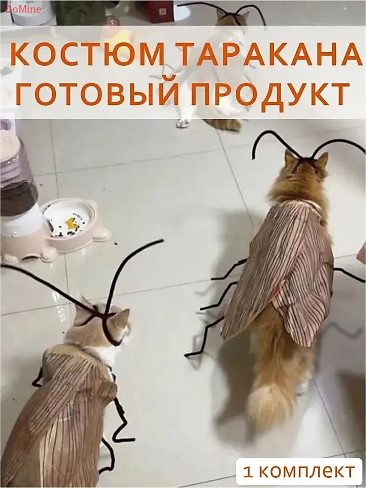 Милый костюм кота-таракана, набор для самостоятельной сборки
