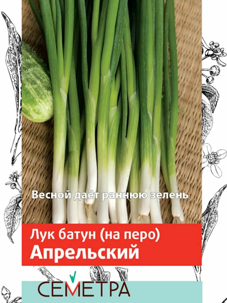 Лук Батун Апрельский 1 г, Семена Поиск