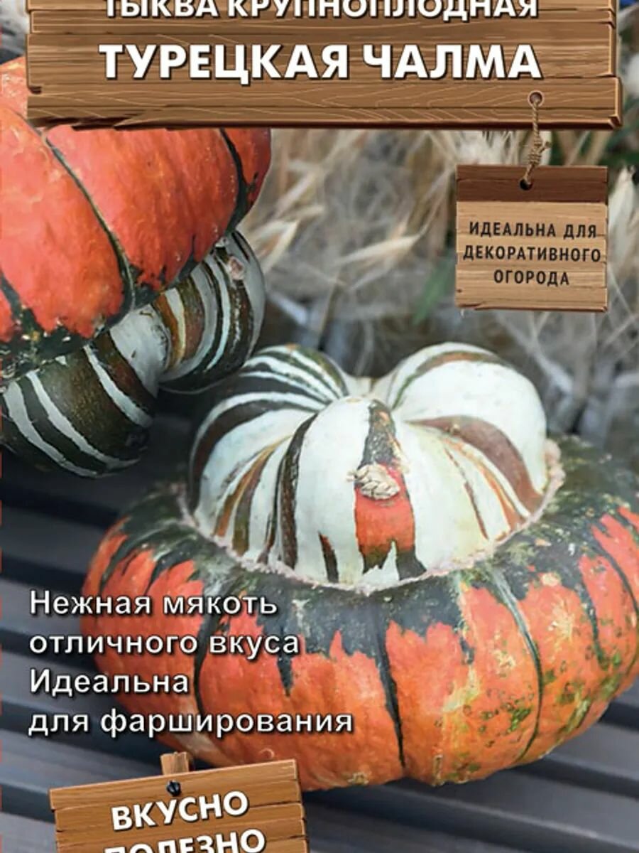 Тыква крупноплодная Турецкая чалма (сер. Декоративный огород) 5 шт, Семена Поиск