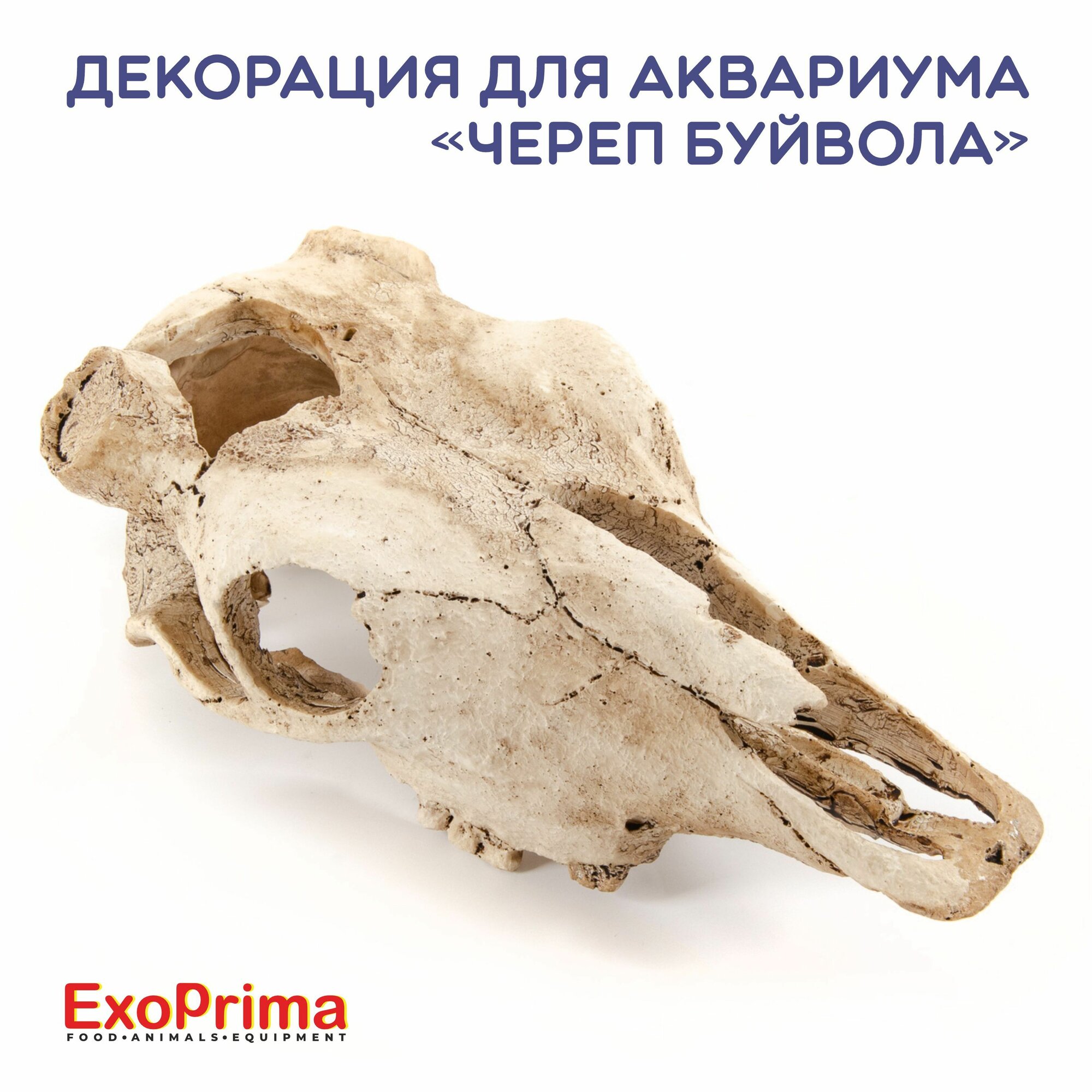 Декорация для аквариума "Череп буйвола".22.5х12.5х8.5см