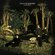 ECHO & THE BUNNYMEN Evergreen (LP)