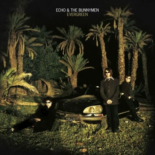 ECHO & THE BUNNYMEN Evergreen (LP)