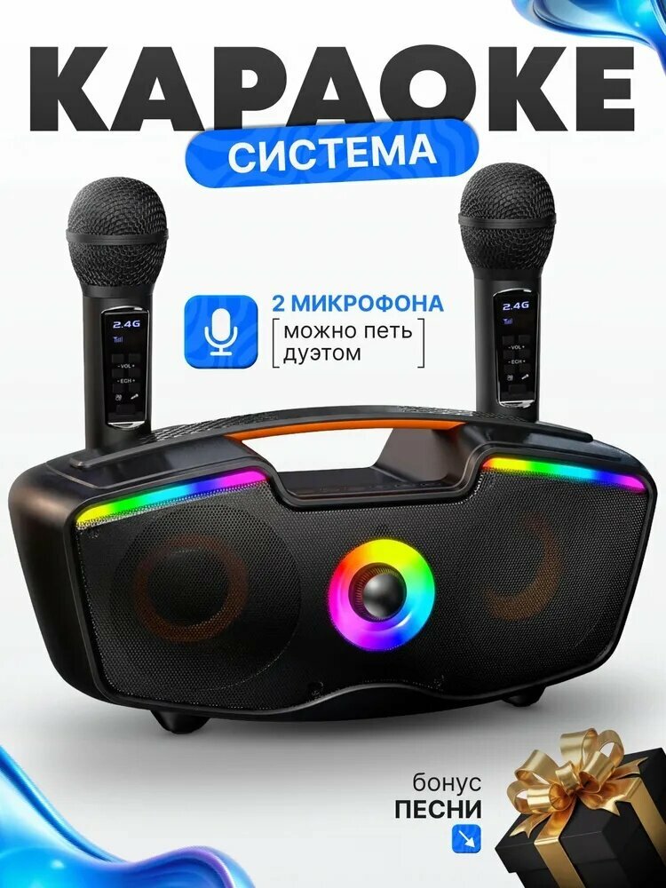 Караоке система для дома с двумя микрофонами для взрослых и детей SD-219