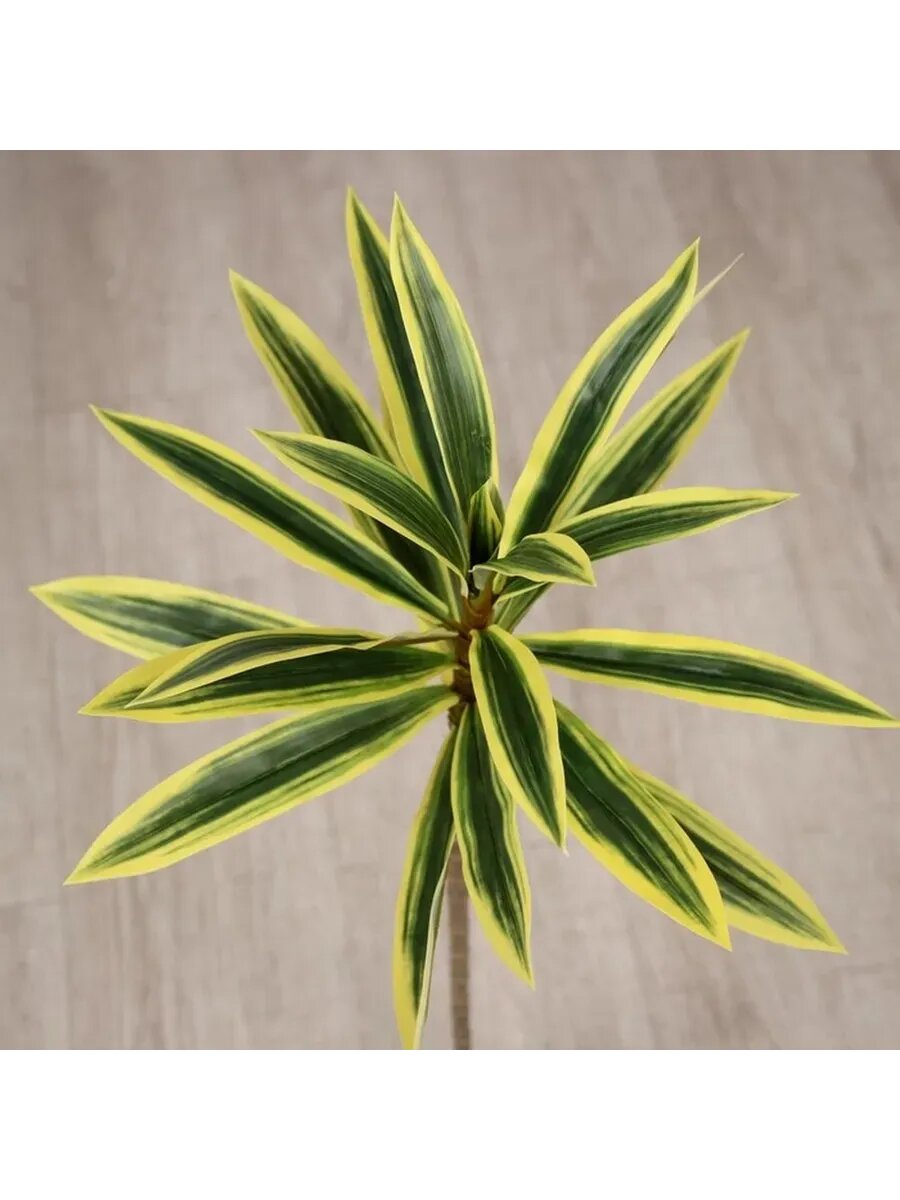 Элегантная искусственная пальма 55 см