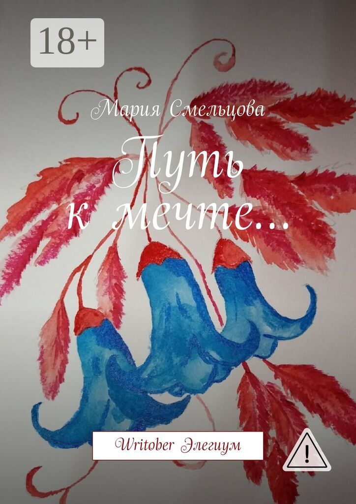 Путь к мечте…