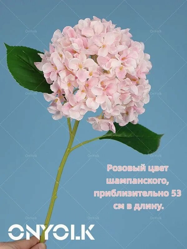 ONYOLK Стабилизированные цветы Гортензия, 53 см, 47 гр, 1 шт