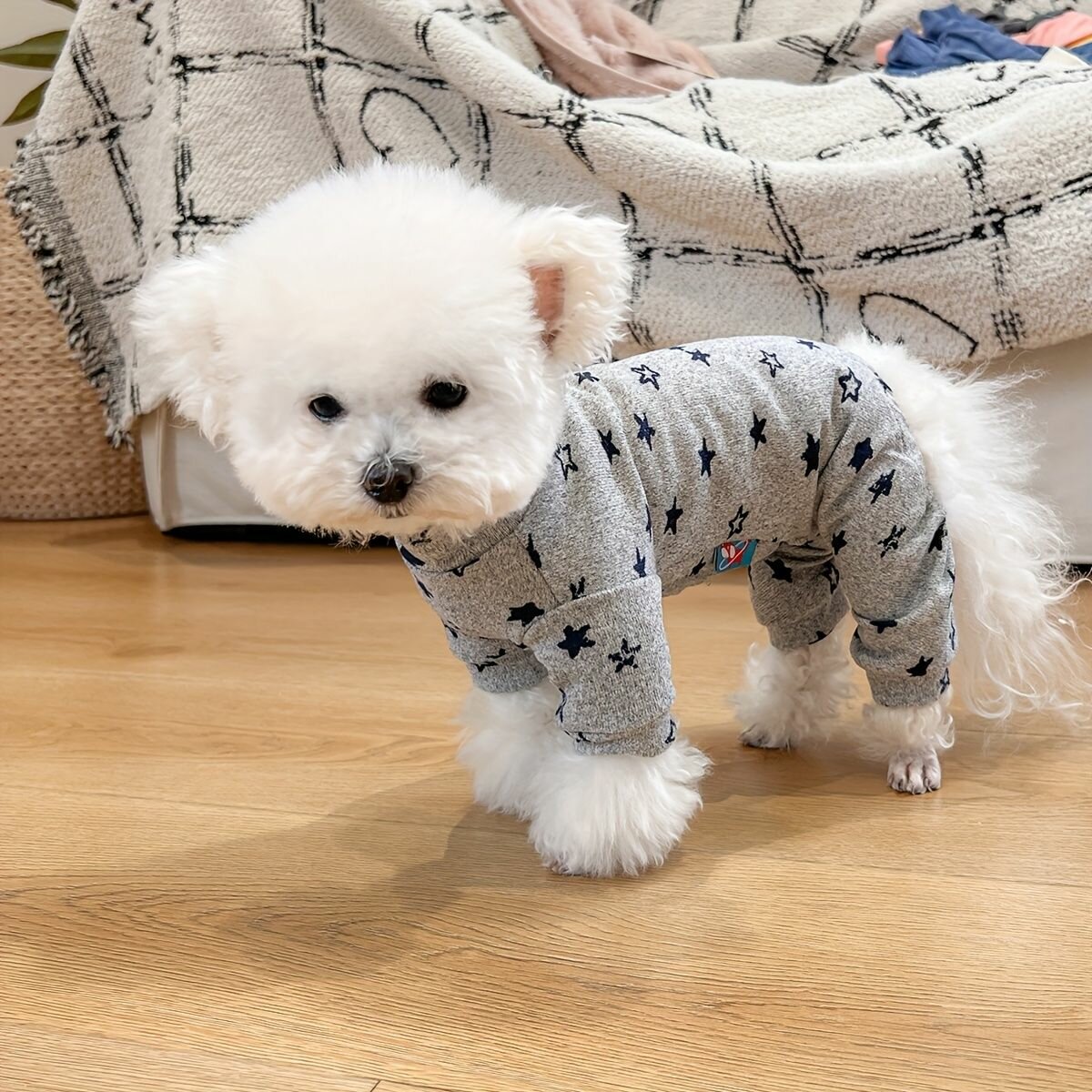 Звездный узор четырехногий костюм, LUCKY DOG, серый, домашних собак можно носить, высококачественная ткань, удобная и мягкая