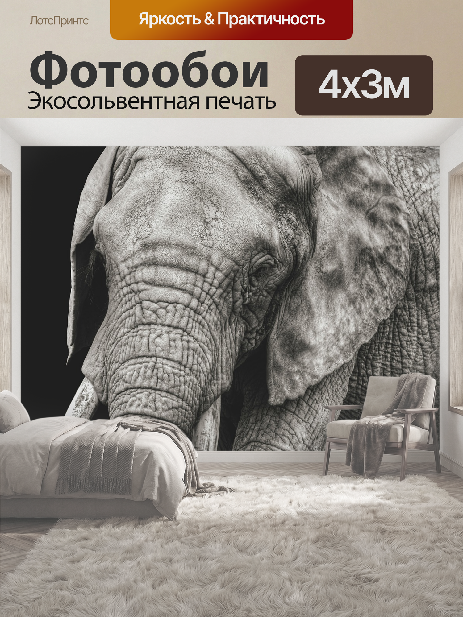 Фотообои "Слон, крупным планом, черный и белый" 400x300 см. экосольвентная печать