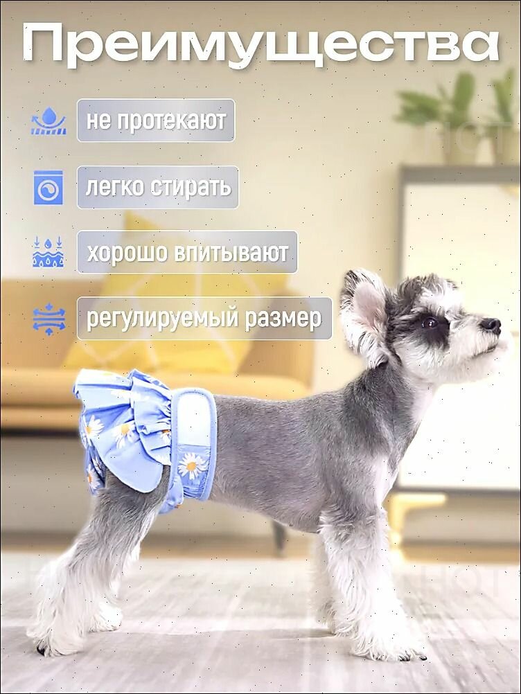 Трусы для собаки многоразовые во время течки, размер S, 2 штуки