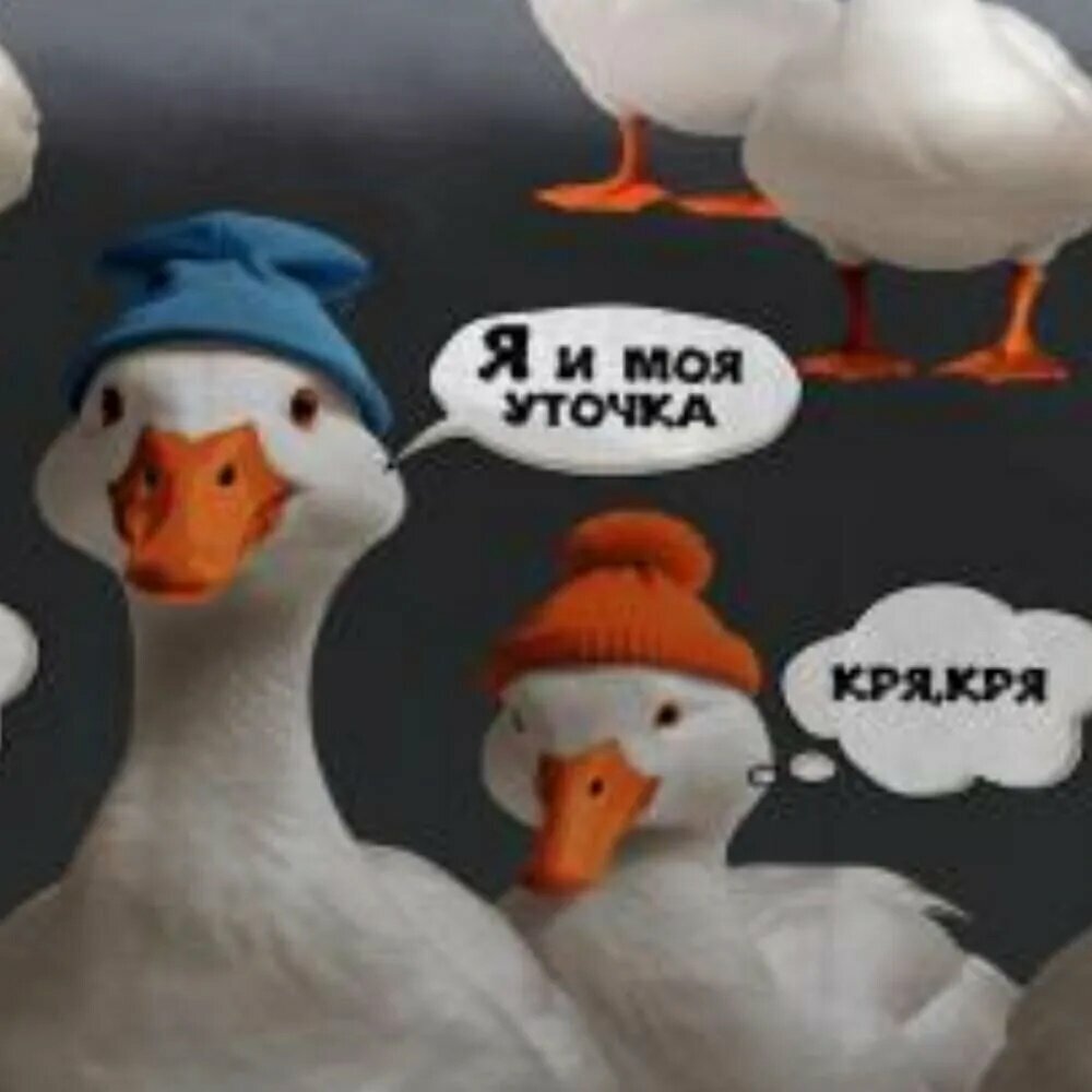 Плед плюшевый Гусь-Обнимусь , Велсофт, 200 см х 150 см