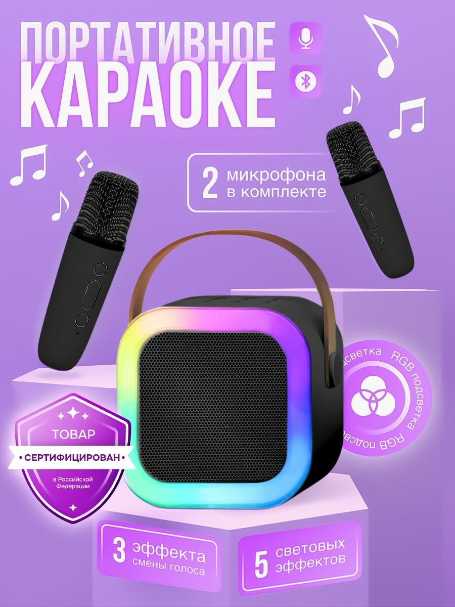Колонка караоке с микрофонами подарок