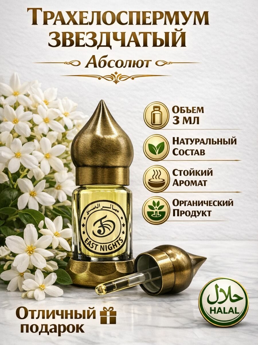 Трахелоспермум звездчатый абсолют