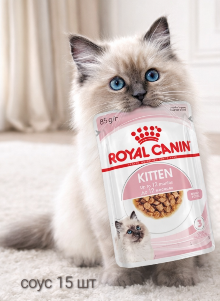Влажный корм для котят Royal Canin Kitten, кусочки в соусе 15 шт х 85гр