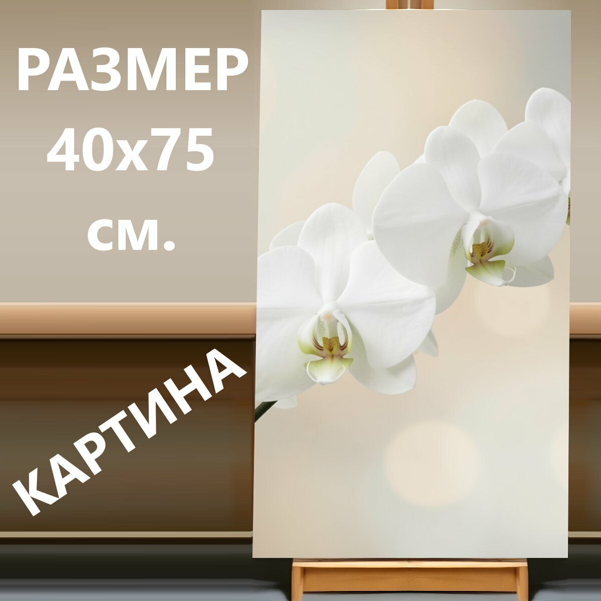 Картина на холсте "Белая орхидея на мягком фоне. Изящная ветвь тропического цветка с крупными молочно-белыми лепестками, нежные зелёно-жёлтые." на подрамнике 75х40 см. для интерьера