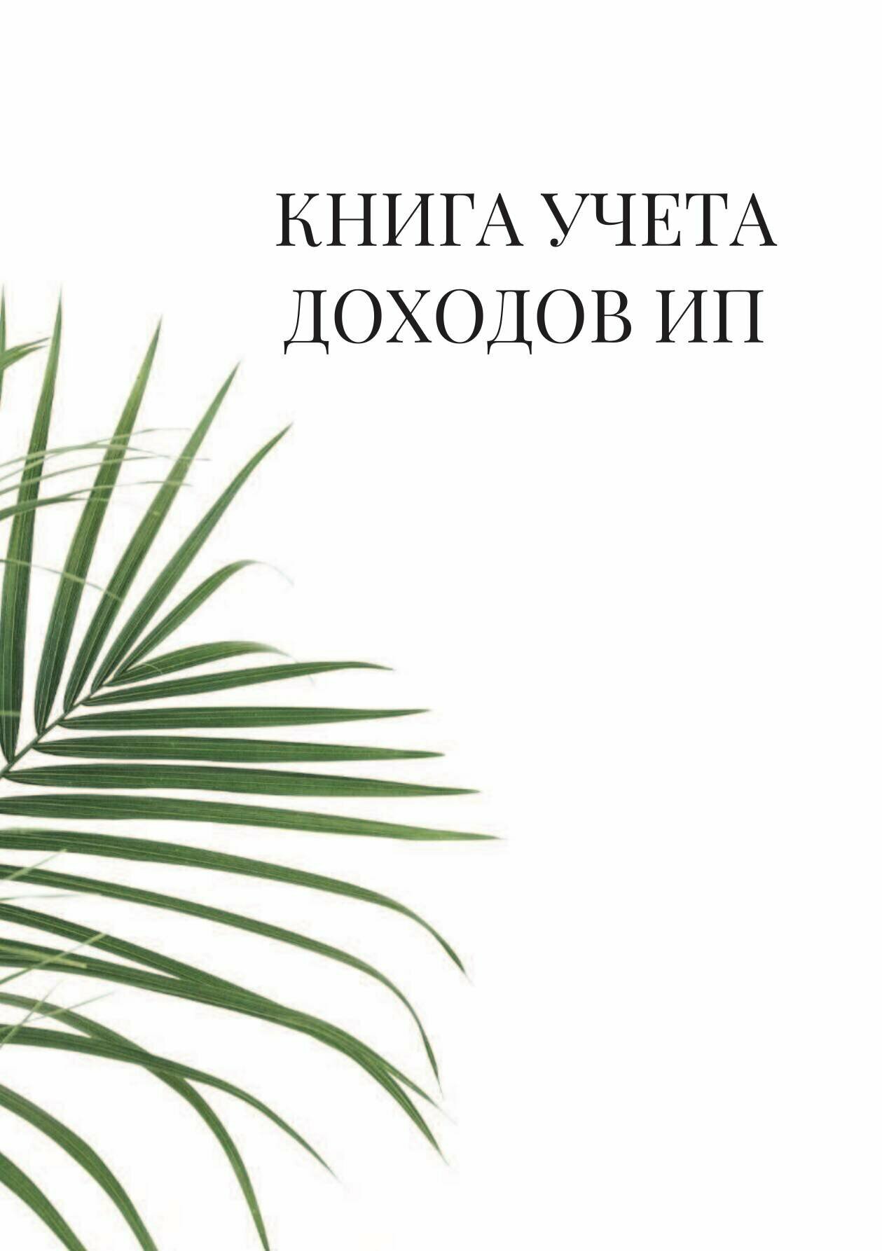 Книга учета доходов для ИП на патенте