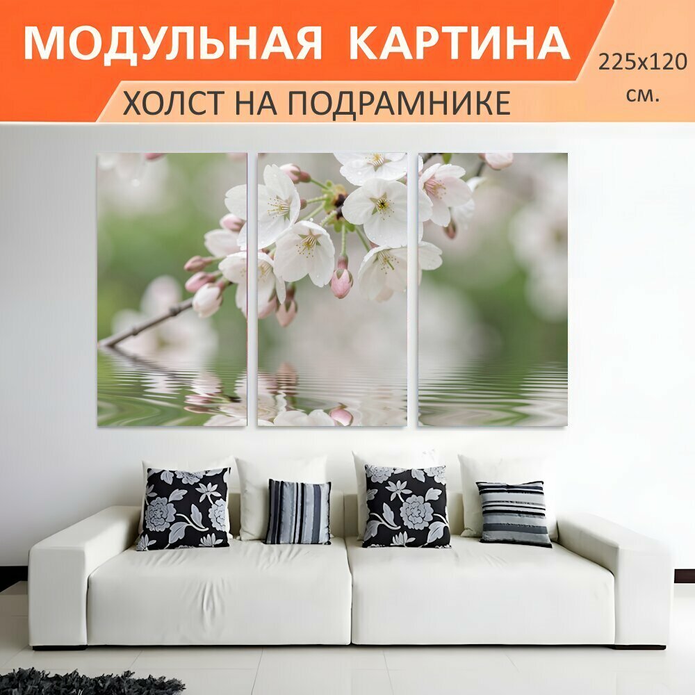 Модульная картина на холсте "Цветущая ветка сакуры. Нежные весенние цветы на ветках в бело-розовой гамме, крупный план с каплями росы." триптих на подрамнике 225х120 см. для интерьера