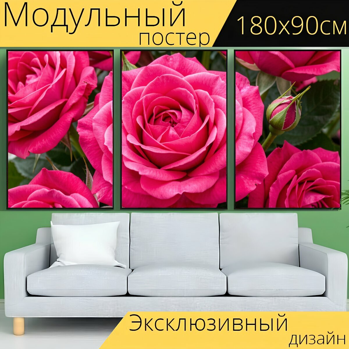 Модульный постер "Ярко-розовые розы в цвету. Пышные садовые бутоны насыщенного малинового оттенка крупным планом, с сочной зеленью и." 180 x 90 см. для интерьера на стену в тубусе