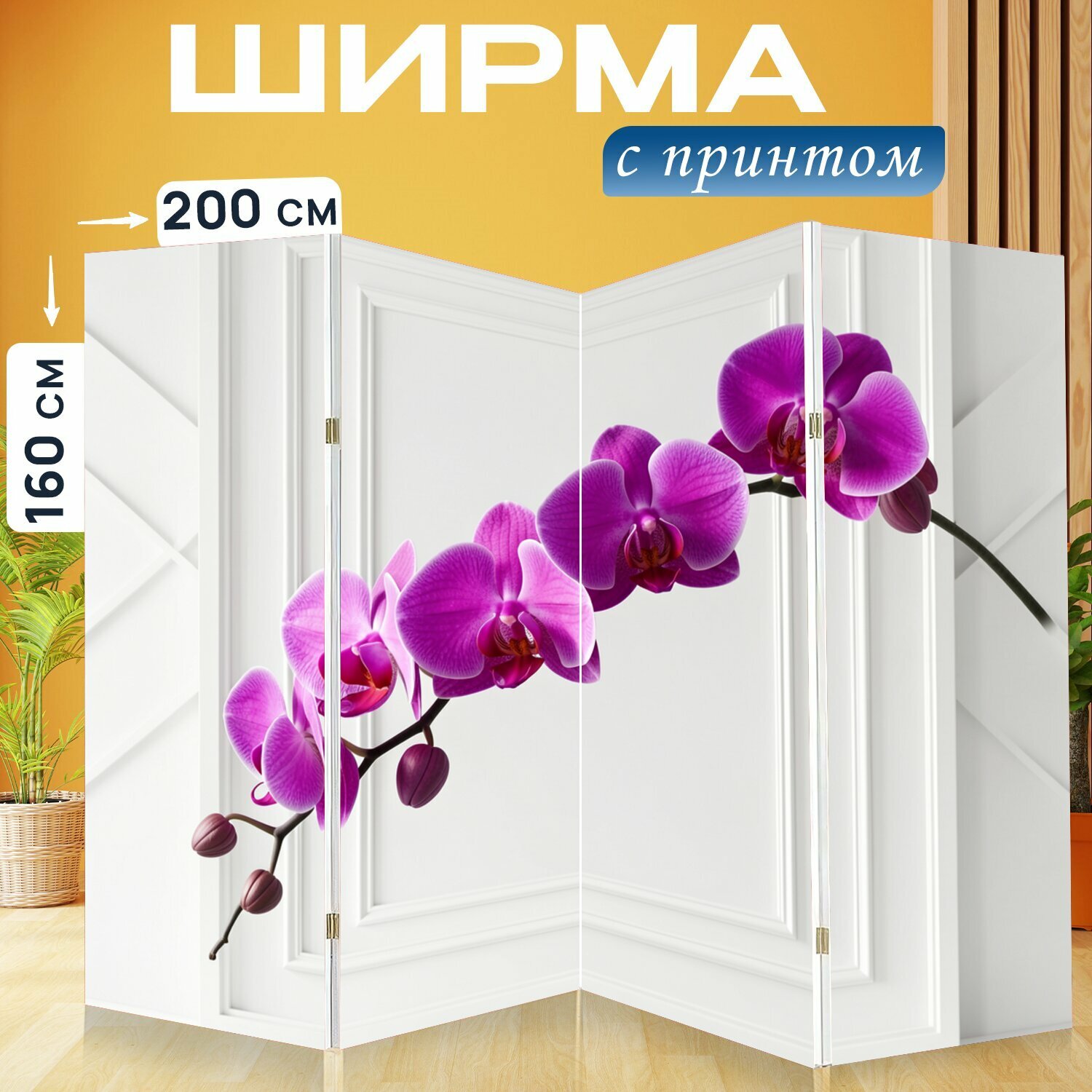 Ширма "Фиолетовые орхидеи на светлом фоне. Изящная ветвь с крупными тропическими цветами в розово-фиолетовой." перегородка для зонирования комнаты с принтом 200x160 см. на холсте