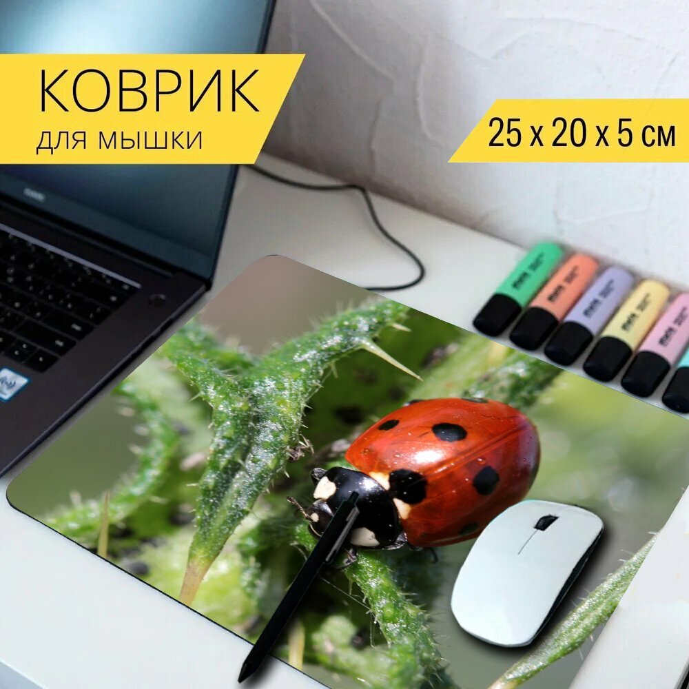 Коврик для мыши с принтом "Божья коровка, жук, кокцинеллиды" 25x20см.