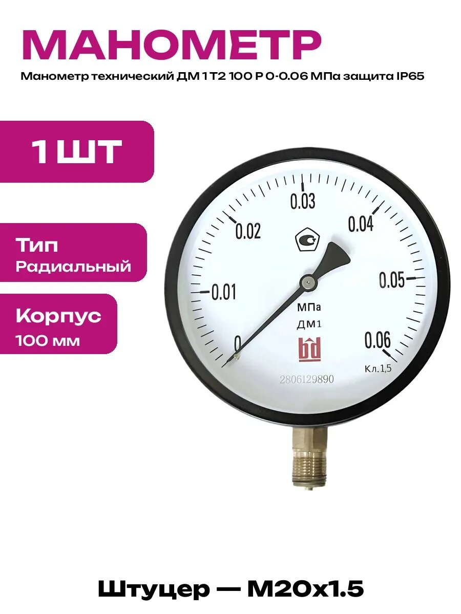 Измеритель давления ДМ 1 Т2 100 Р 0-0.06 МПа резьба М20х1.5