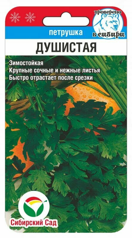 Петрушка листовая Душистая листовая петрушка петрушка для зелени