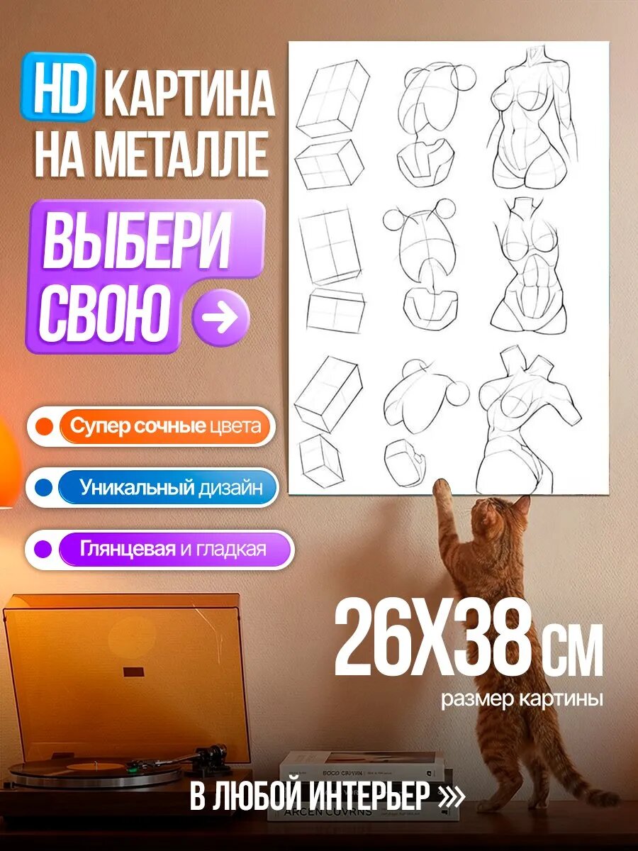 Картина на HD металле Уроки рисования анатомии