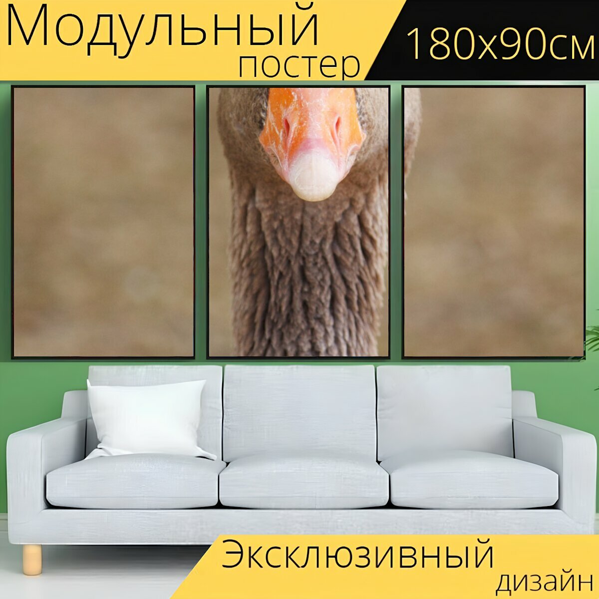 Модульный постер "Гусь смотрит Серый гусь смотрит прямо на меня животных клювом птица глаз фермы перо гуся головой смотреть шее." 180 x 90 см. для интерьера на стену в тубусе