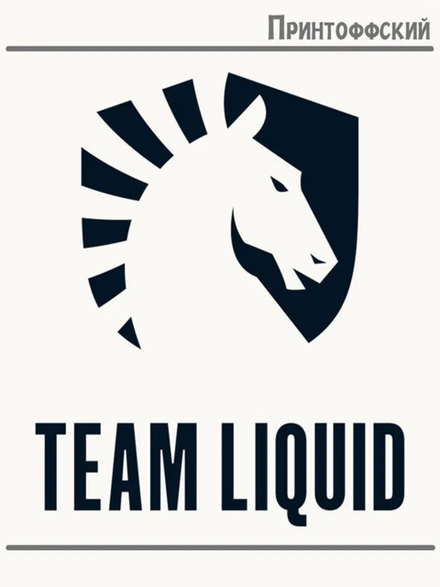 Термонаклейка для одежды и аксессуаров DTF-печать киберспорт дота2 team liquid dota2