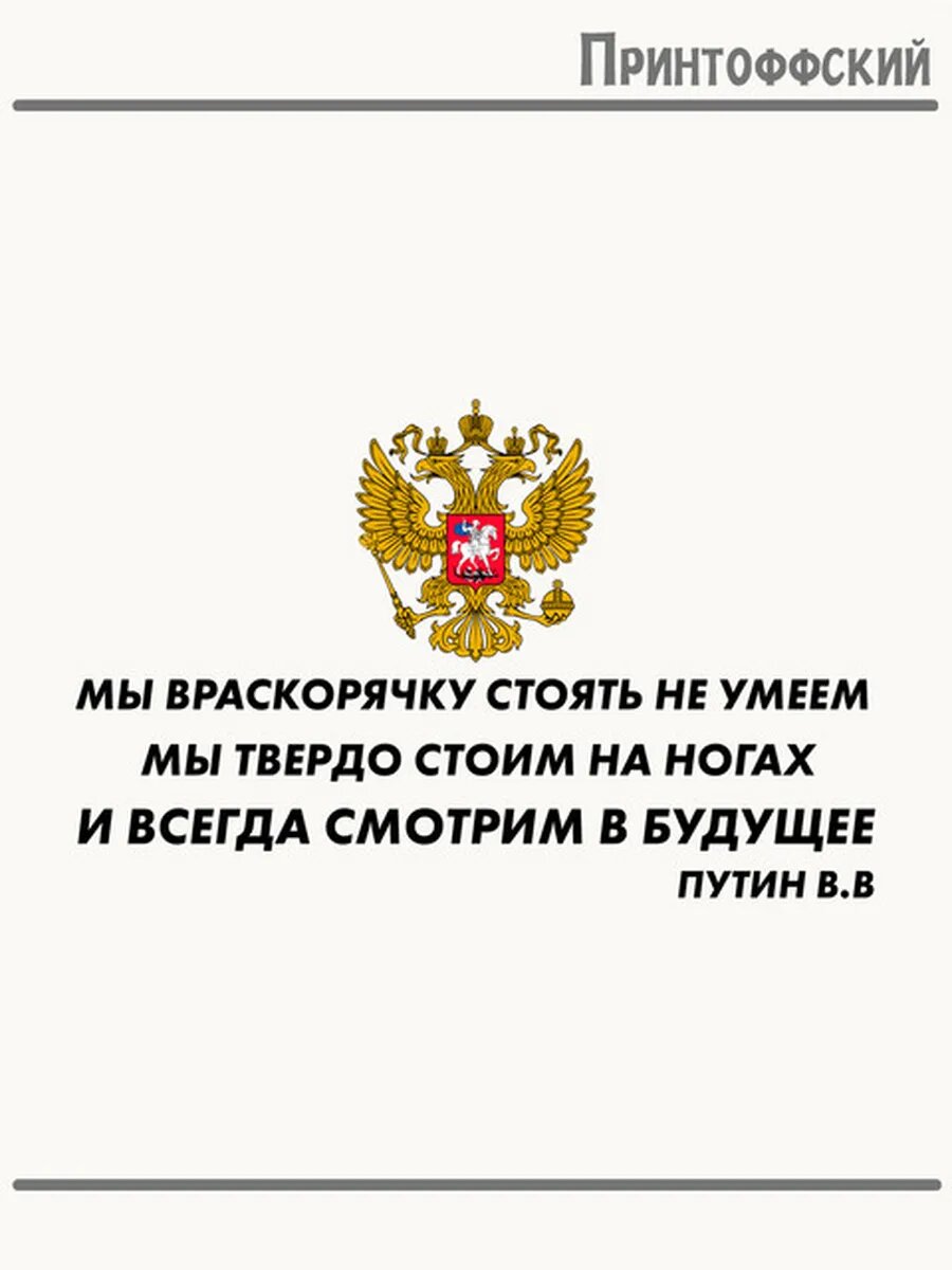 Термонаклейка для одежды и аксессуаров DTF-печать цитата Путина
