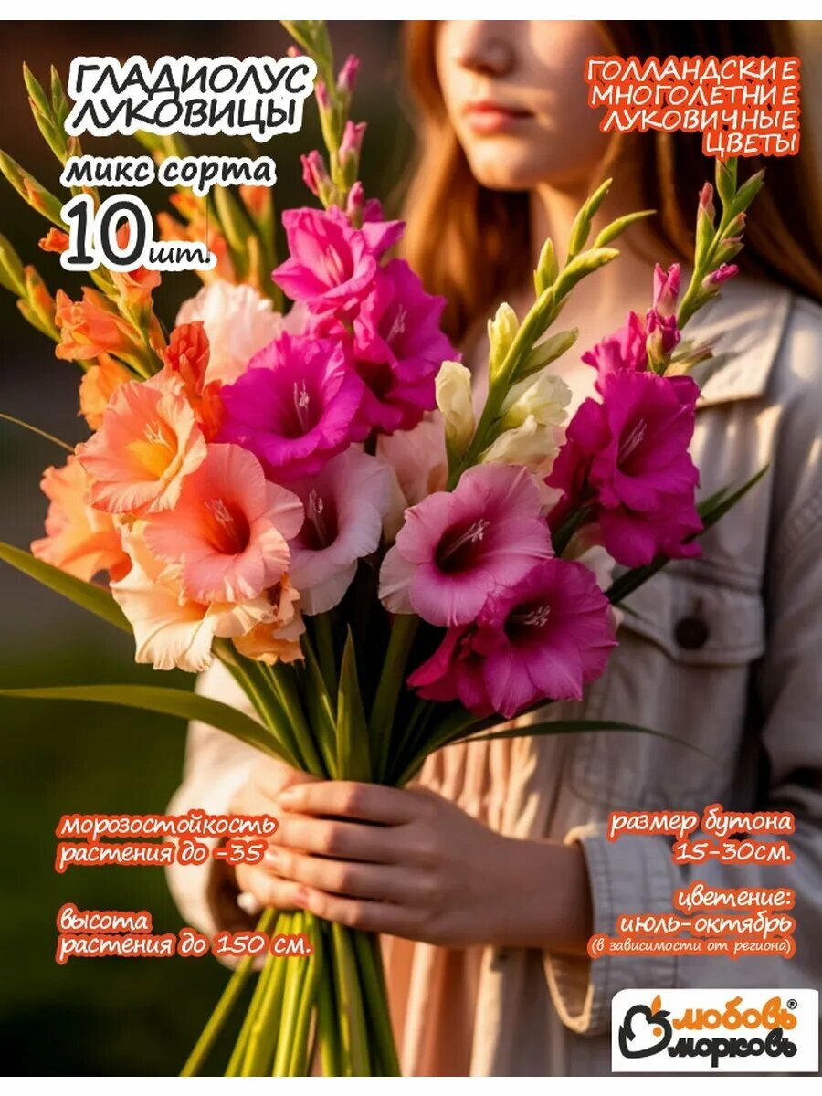 Гладиолус Луковица, Микс сортов, 10шт