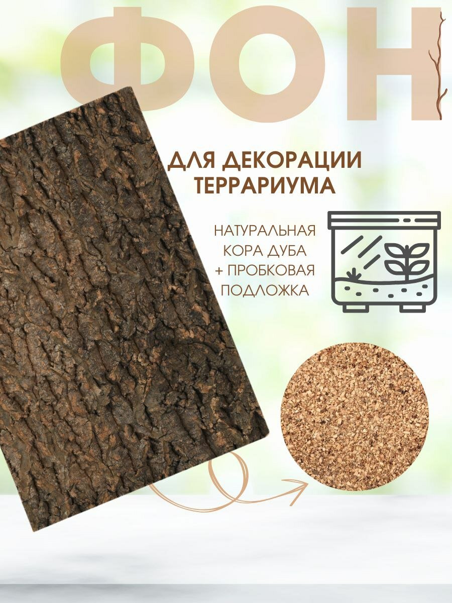 Фон для террариума из натуральной коры пробкового дерева