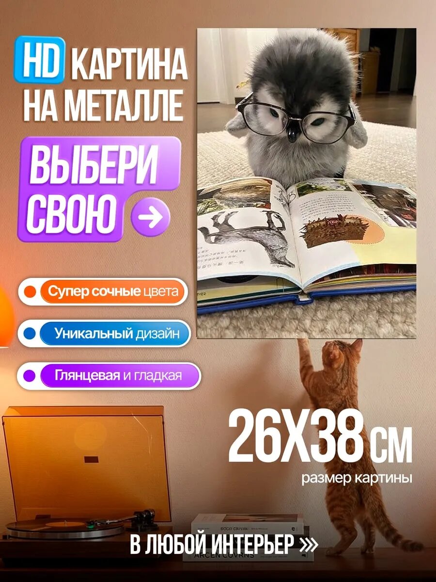Картина на HD металле Сова в очках читает
