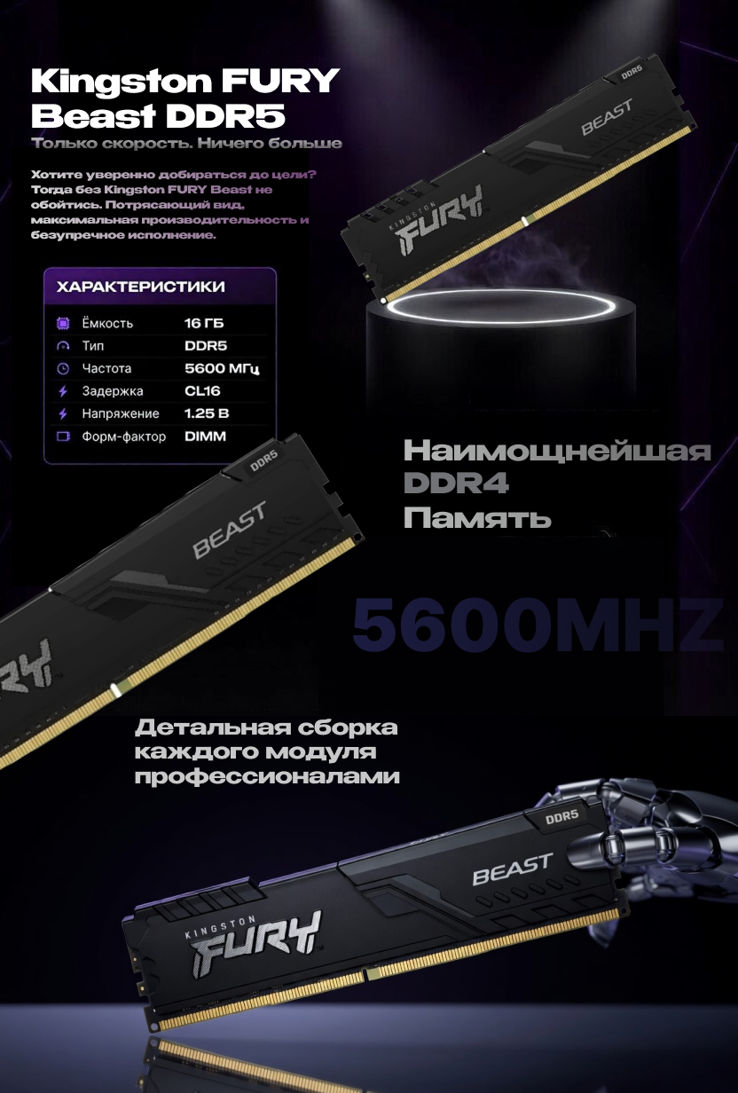 Память Kingston FURY Beast Black (16ГБ * 1 Шт.) DDR5 5600МГц CL40 DIMM (KF556C40BB-16)