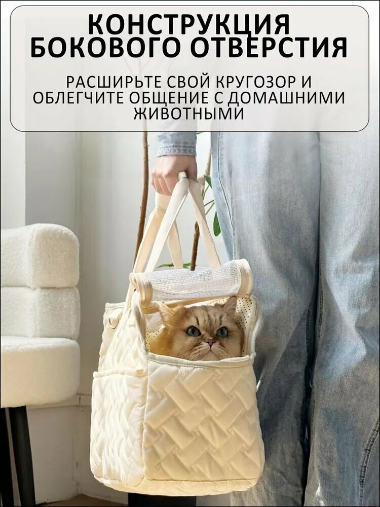 Переноска — фото 1