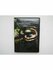 DVD диск. Песни. Evanescence
