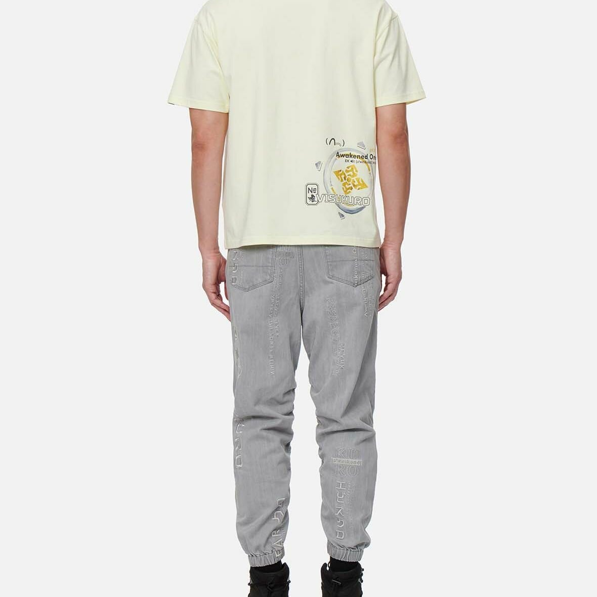 Джоггеры Evisu