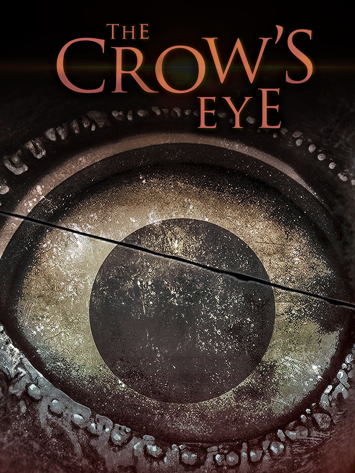 The Crow's Eye