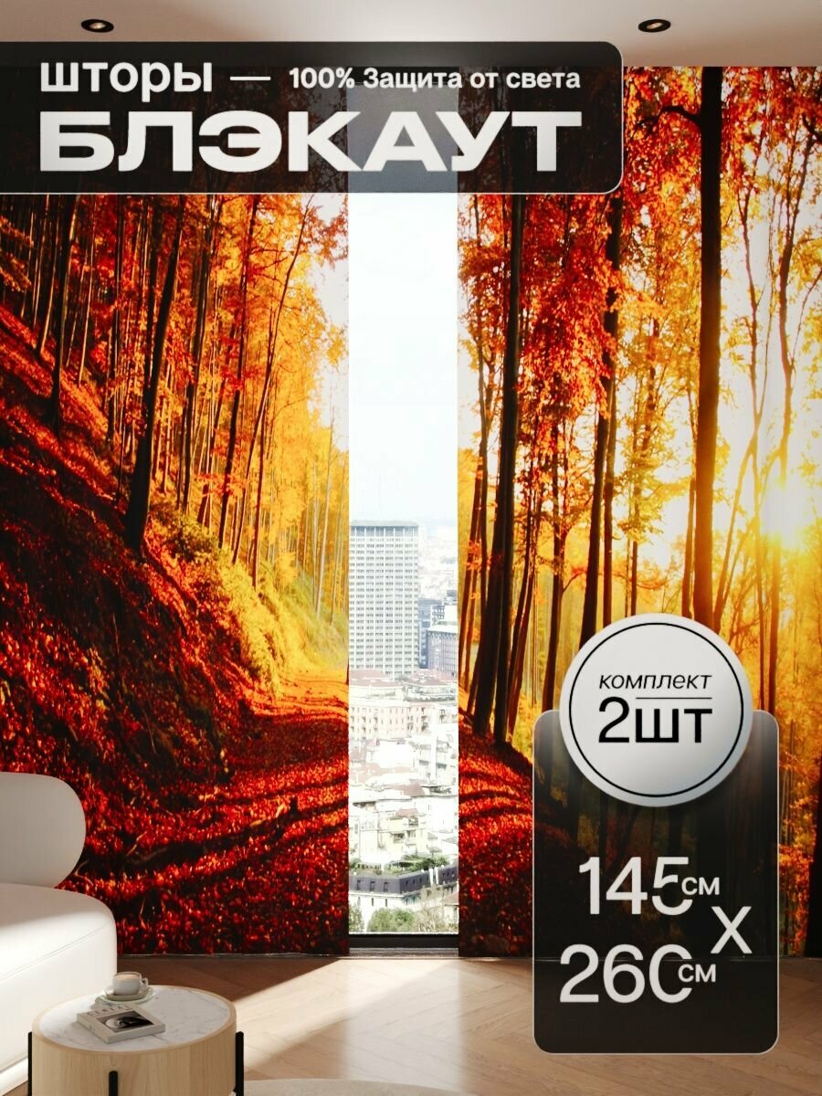 Шторы блэкаут 145x260 см 2 шт на окна плотные комплект