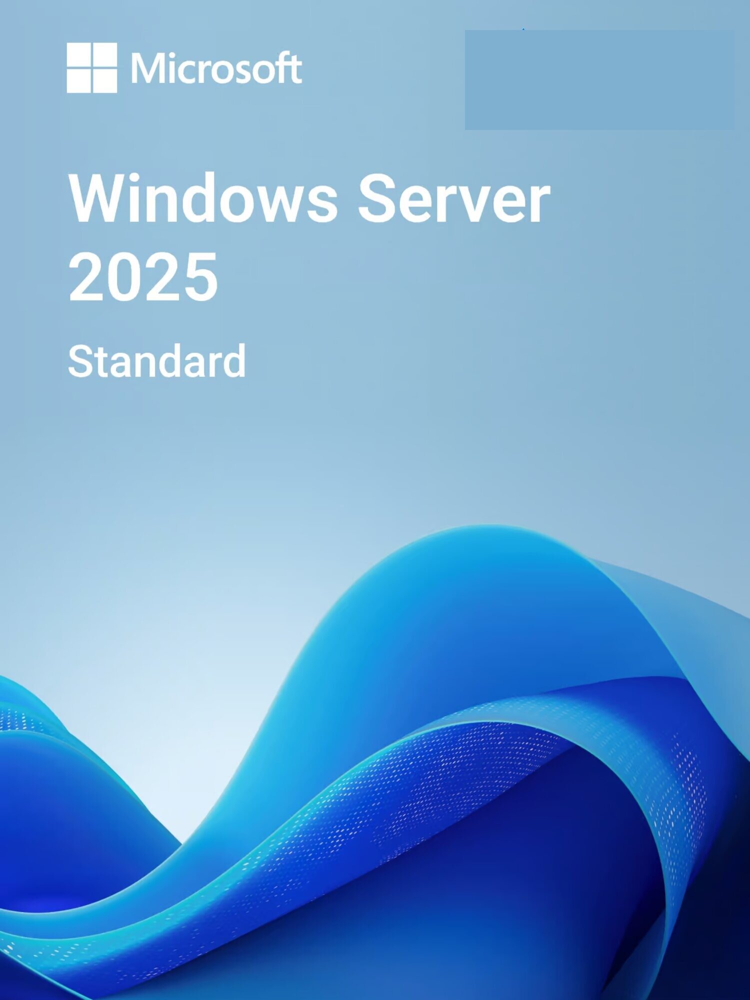 Ключ Microsoft Windows Server 2025 Standard (Стандартный), лицензия на 1 устройство, Русская версия