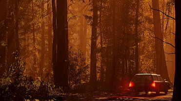 Видеоигра Pacific Drive (PS5) — фото 1