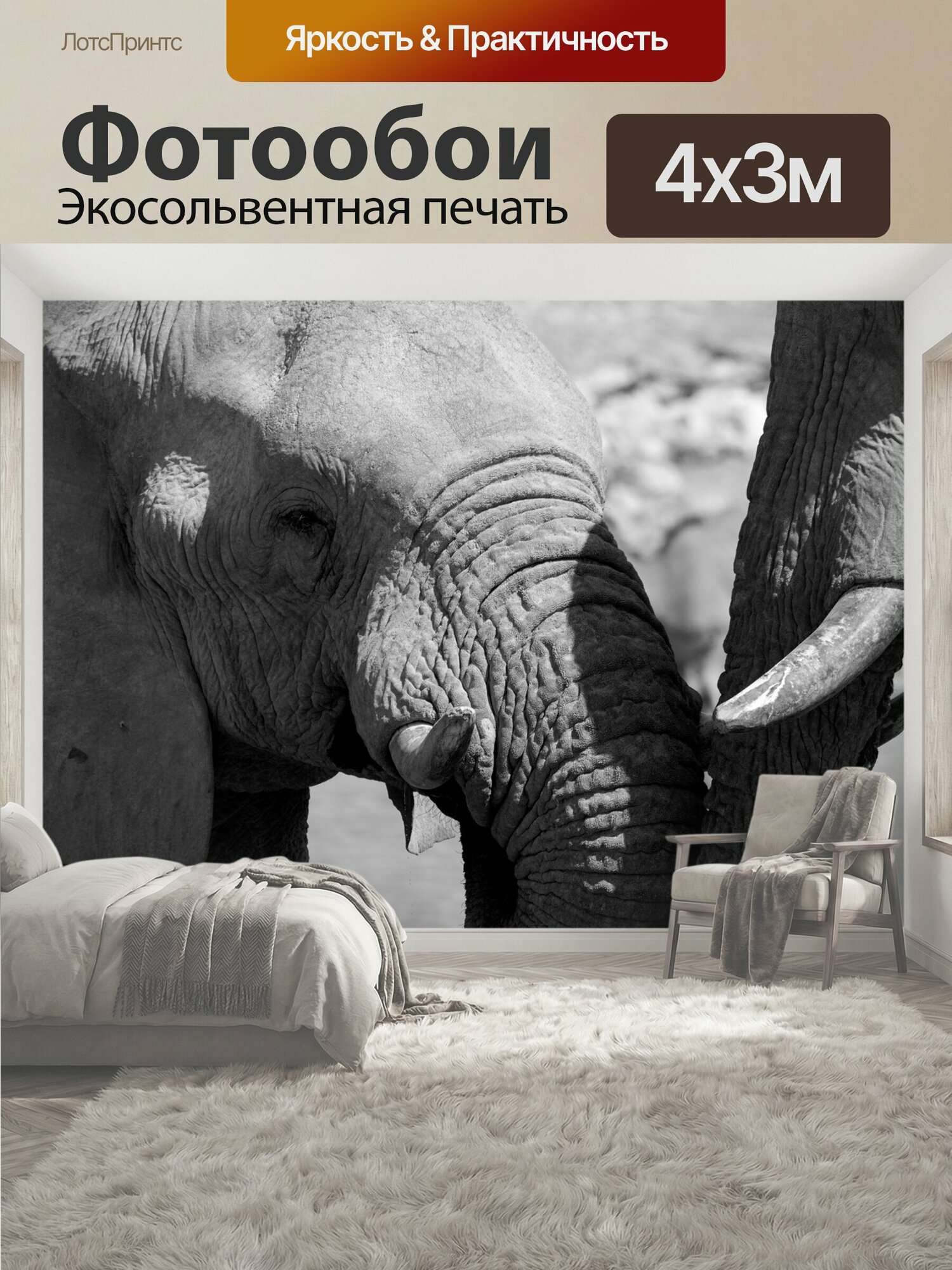 Фотообои "Слон, черно-белый, африке" 400x300 см. экосольвентная печать