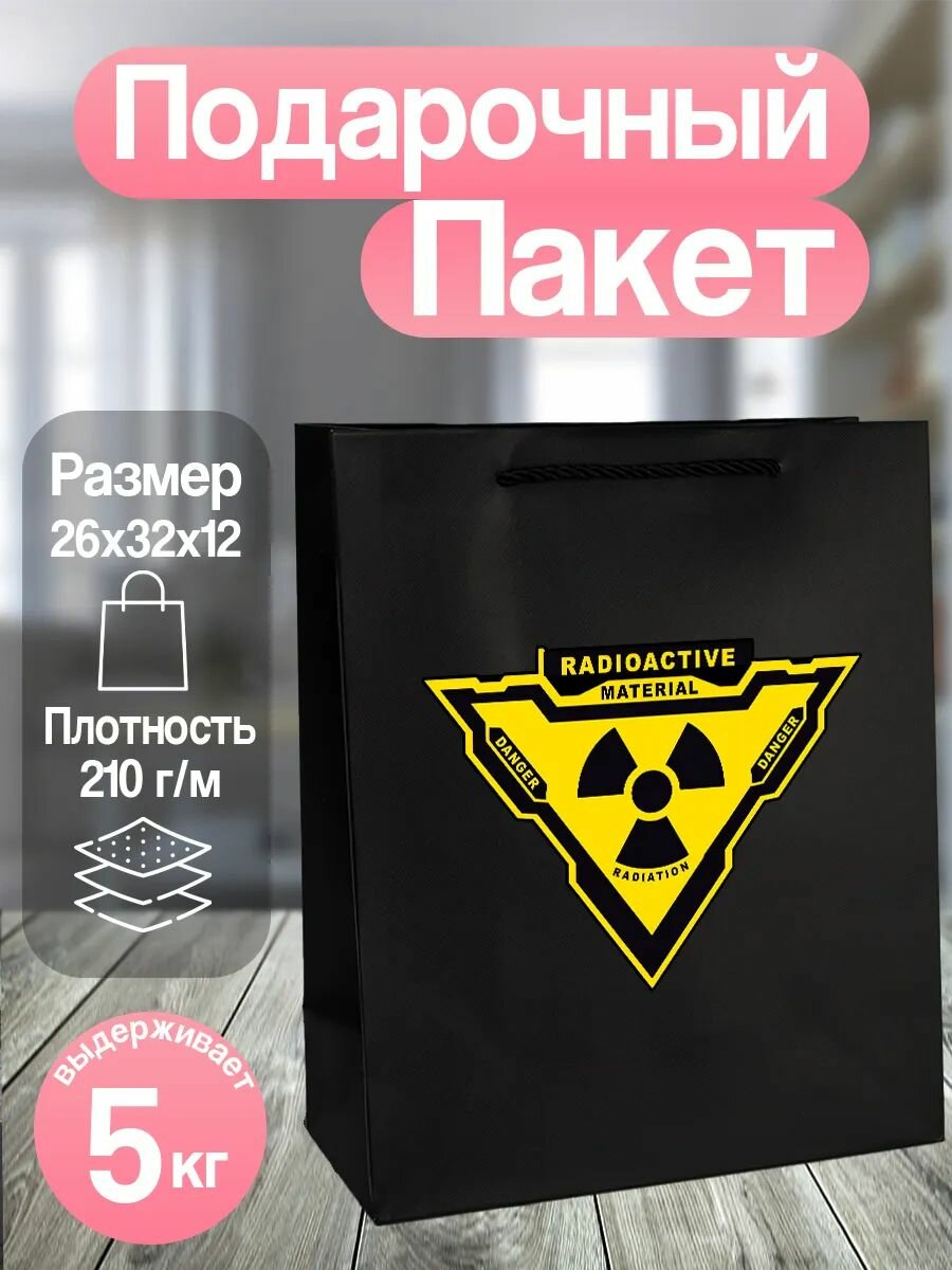 Пакет подарочный Метро 2033, упаковка для подарка, 26х31 см