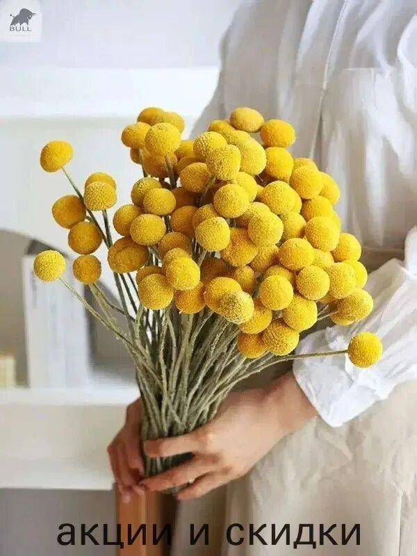Сухоцветы, 42 см, 160 гр, 20 шт