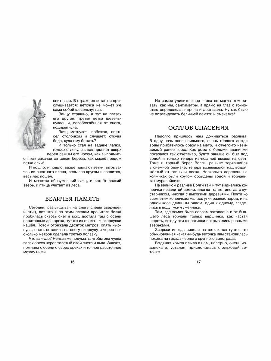 Лисичкин хлеб — фото 1