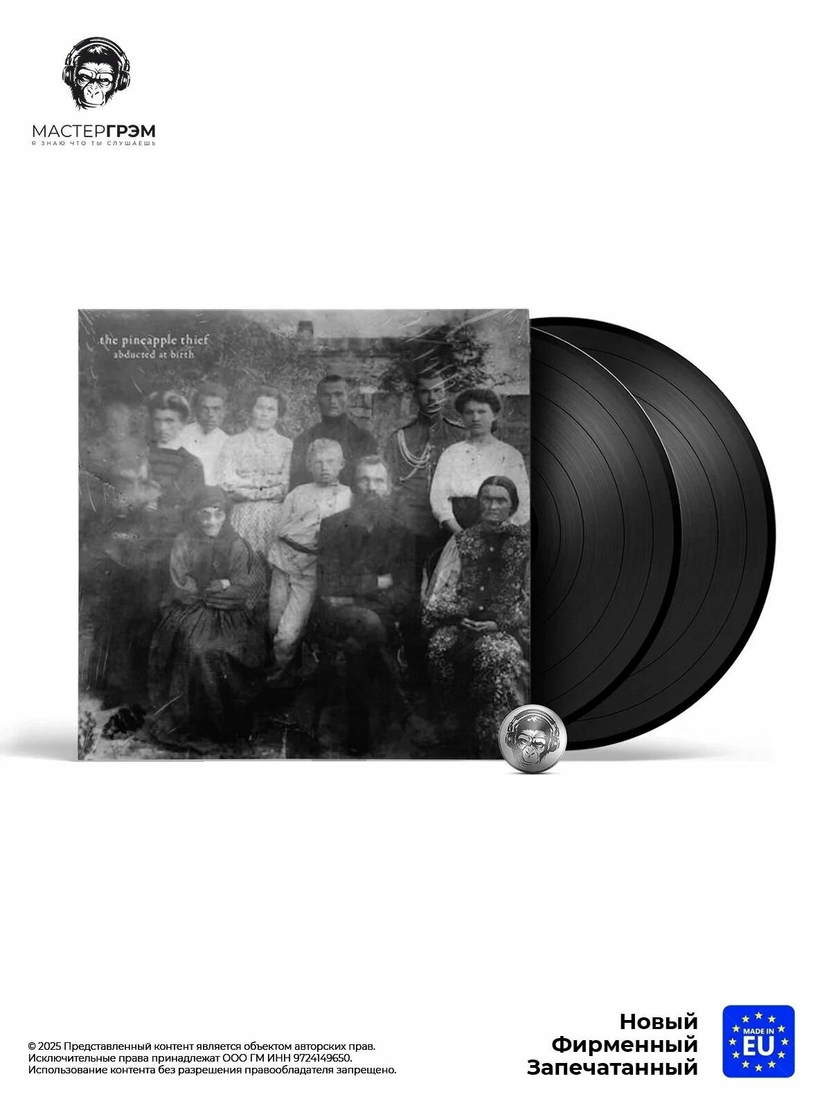 Виниловая пластинка The Pineapple Thief - Abducted At Birth (2LP) 2018