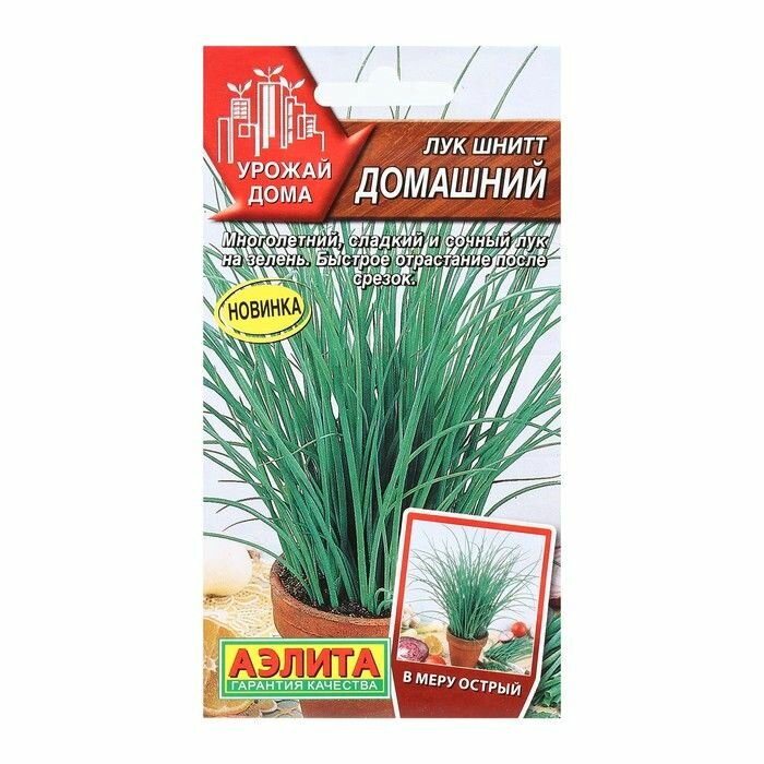 Семена Лук шнитт Домашний, Урожай дома 0,5 г