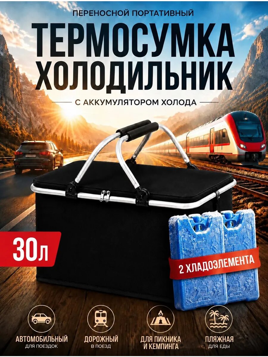 Сумка холодильник 30 литров с аккумулятором холода 2 шт